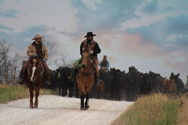 Missouri Department of Agriculture 2018 photo contest winners announced ...
